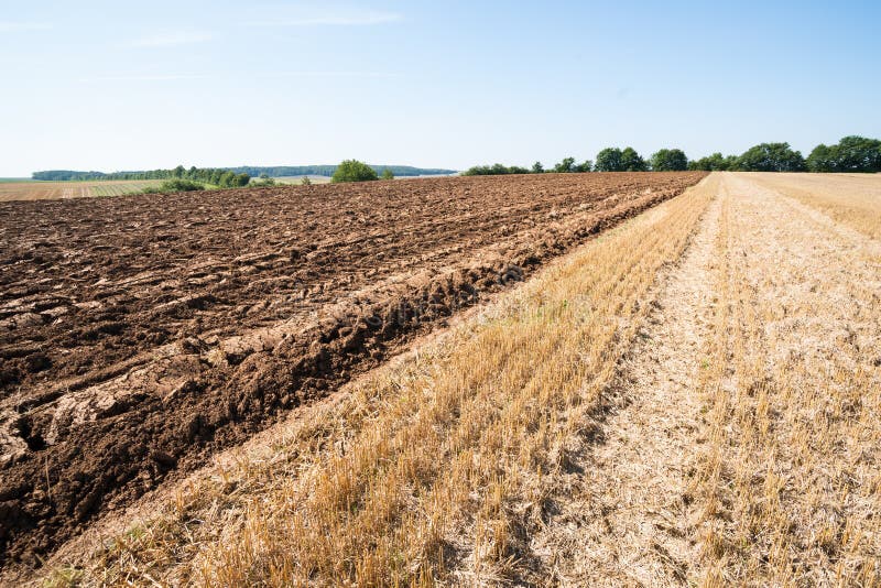1,017 Tree Lined Horizon Stock Photos - Free & Royalty-Free Stock ...