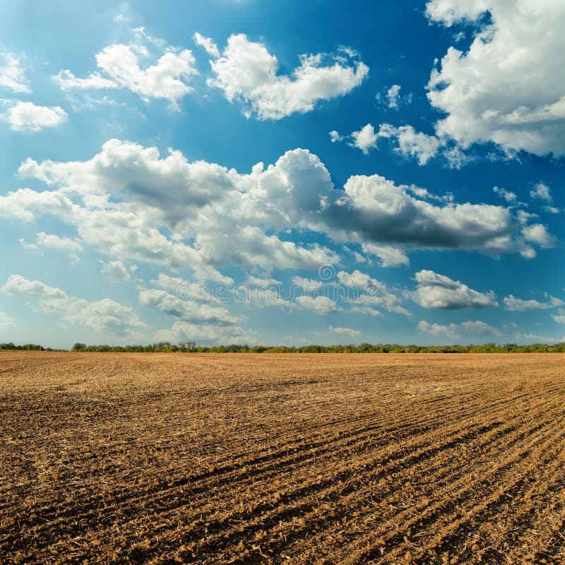 Plowed Field and Cloudy Sky Stock Photo - Image of arable, land: 35942476