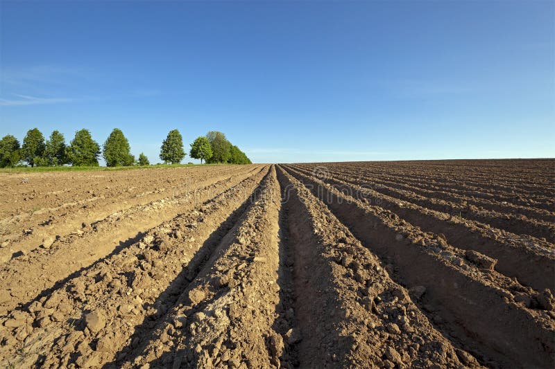 Plowed and harrowed field stock photo. Image of harrowed - 21658794
