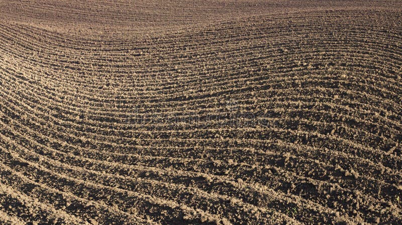 Deep Furrows in Field stock photo. Image of dirt, acreage - 26965584