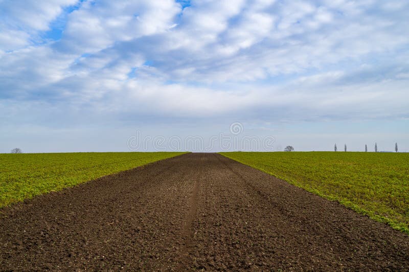 Plowed Field Divided by Growth Stock Image - Image of brown, farming ...