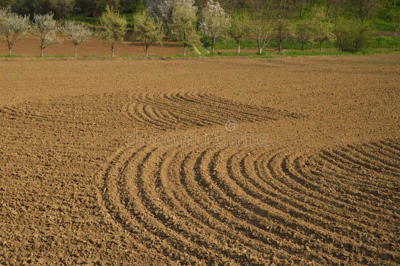 Plowed Field stock photo. Image of blooms, rural, march - 30760986