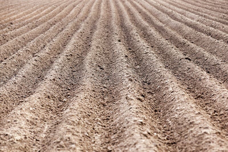 Plowed field, furrows stock image. Image of crop, dirt - 75394845