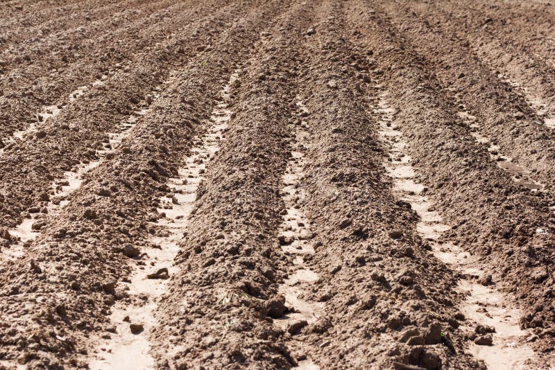 Plowed Field for Planting, Bare Ground with Grooves Stock Photo - Image ...