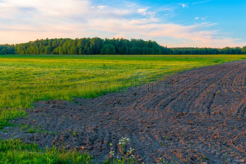 Plowed Field Ready for Sowing in Spring Stock Image - Image of arable ...
