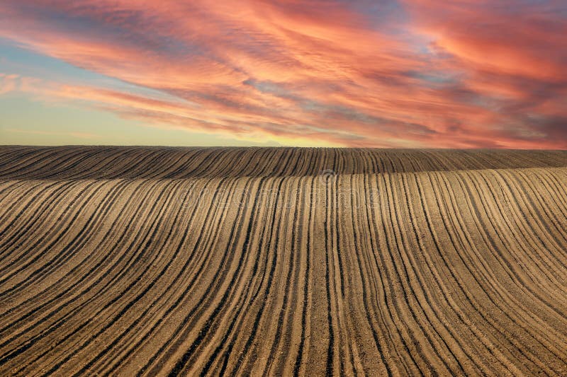 Plowed Field and Red Sunset Sky Landscape Stock Photo - Image of crop ...