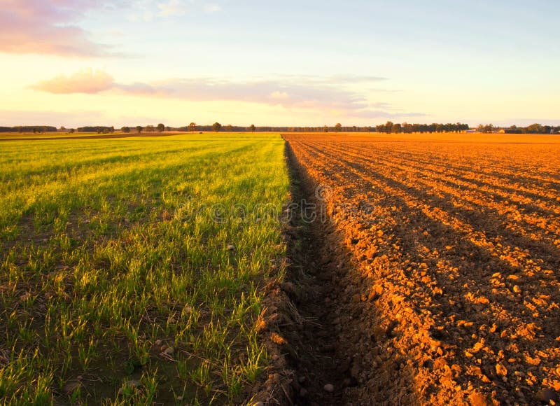 Plowed field and sky stock image. Image of grass, nature - 51293149