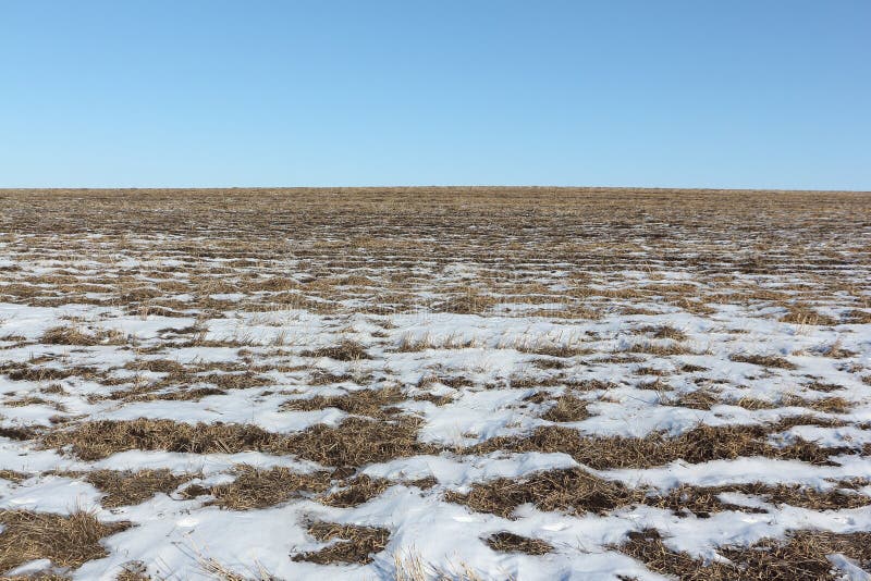 The Plowed Field in Snow in the Spring Stock Photo - Image of snow ...