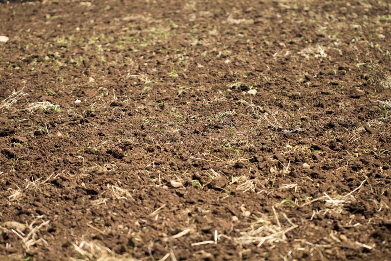 Plowed Field Soil in the Field Texture Stock Photo - Image of health ...
