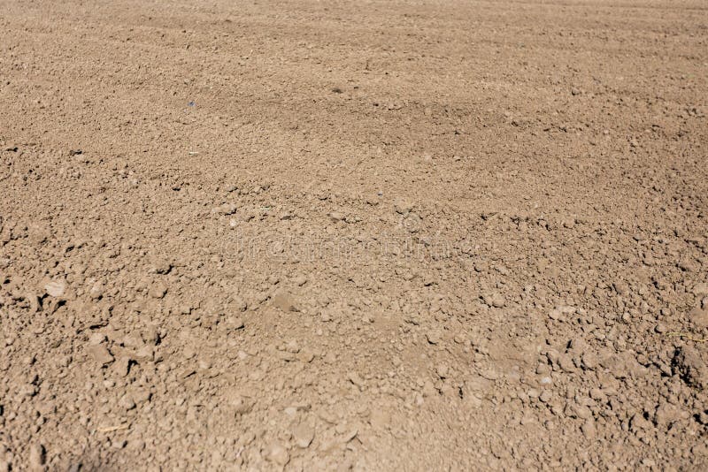 Texture of plowed soil. stock image. Image of cereal - 117931187