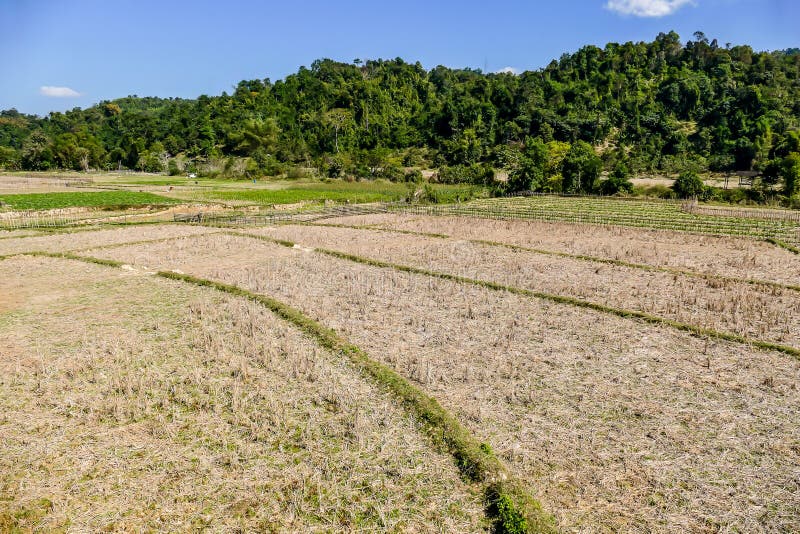 Plowed Field in Spring, Digital Photo Picture As a Background Stock ...