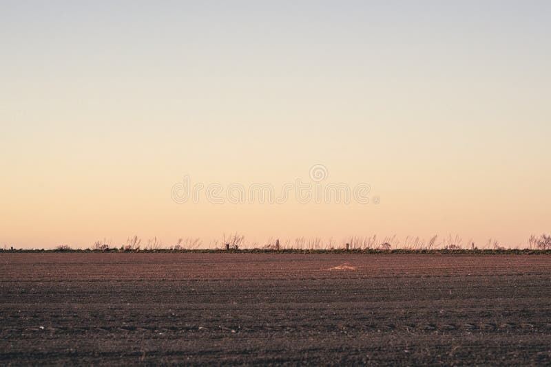 Plowed Field in the Sunset at Dawn Stock Image - Image of evening ...