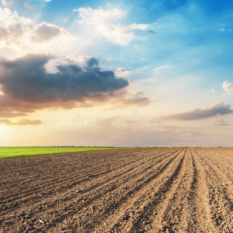 Plowed Field and Sunset in Dramatic Clouds Stock Photo - Image of light ...