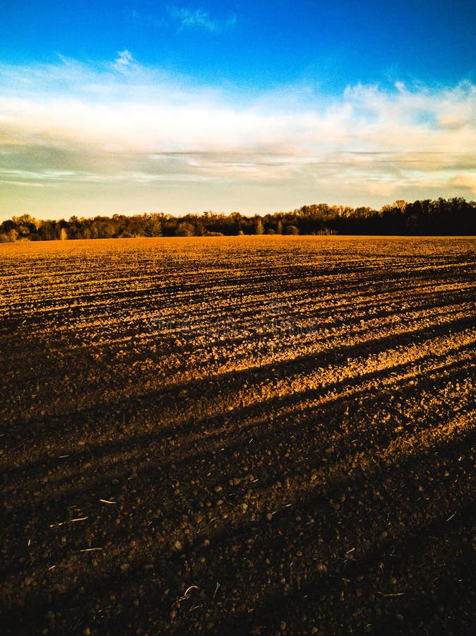 A Plowed Field at Sunset, Long Shadows from the Trees Create a Rhythmic ...