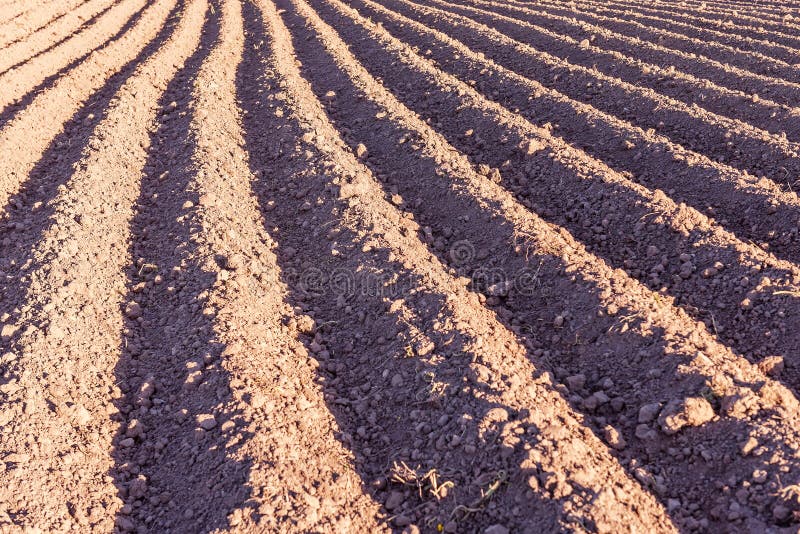 Plowed field texture stock photo. Image of country, natural - 101030862