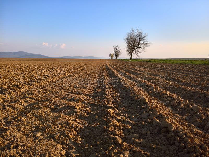 Plowed Field in the Field with a Tree and Sky Stock Photo - Image of ...