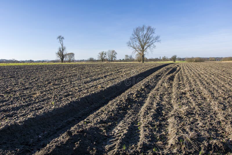 Plowed Field and Trees without Leaves, Clear Blue Sky Stock Image ...