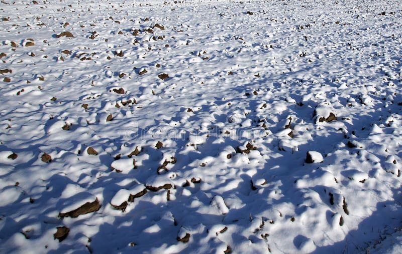 Soil under snow stock photo. Image of natural, park - 121688236