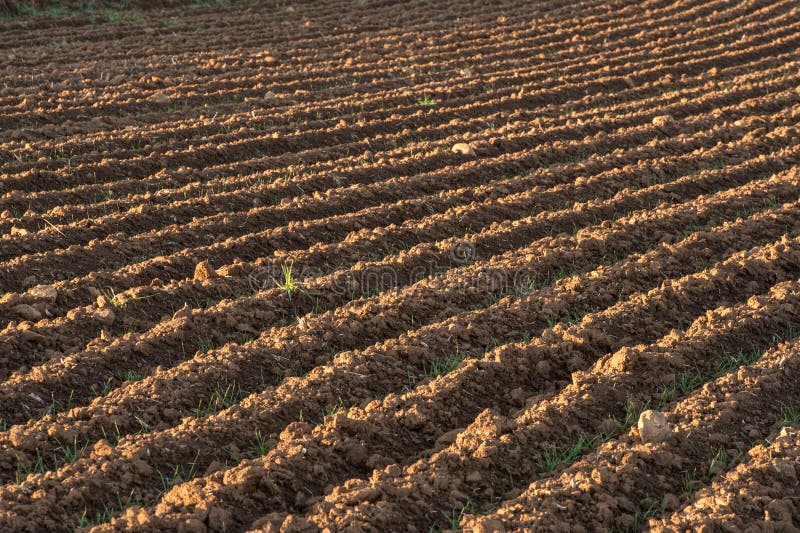 Plowed Fields Furrow Patterns and Textures Stock Photo - Image of ...