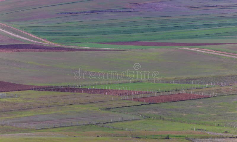 Plowed Fields in Spring with a Condensed Perspective Stock Image ...