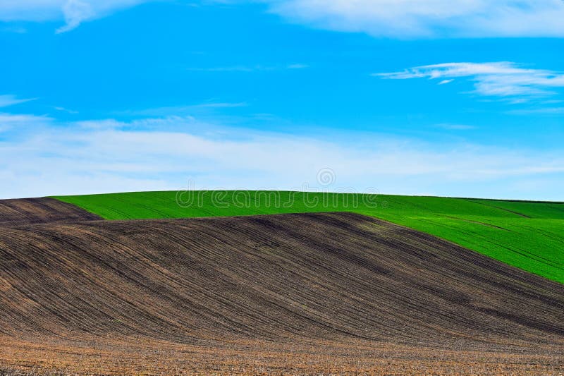Plowed and Green Wheat Rolling Hills ,Moravia Landscape at Spring Stock ...