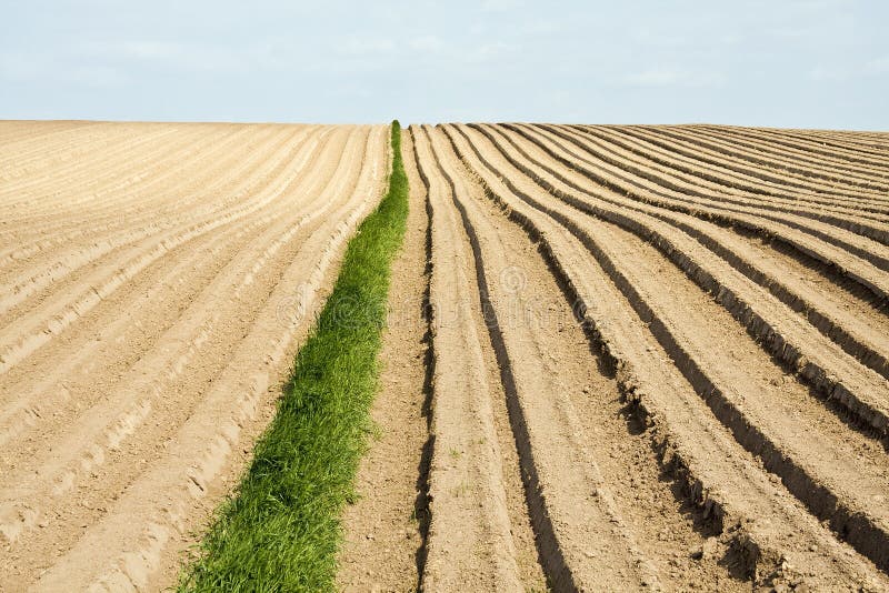 Plowed field stock photo. Image of furrow, hillside, country - 30180808
