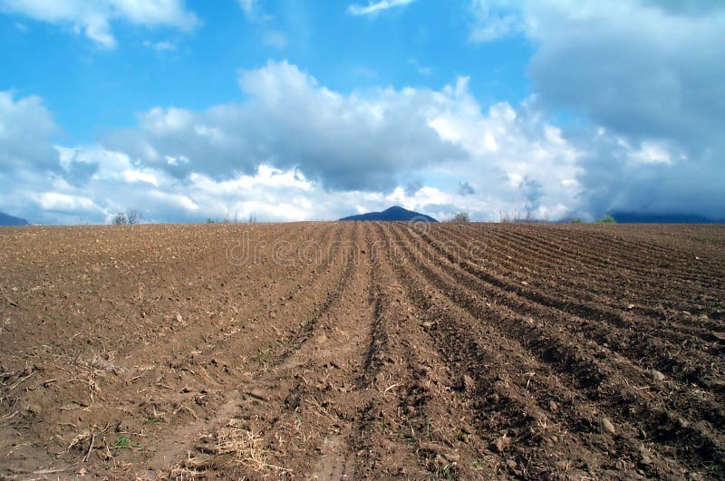 Plowed land stock photo. Image of peak, crop, fresh, plowed - 12