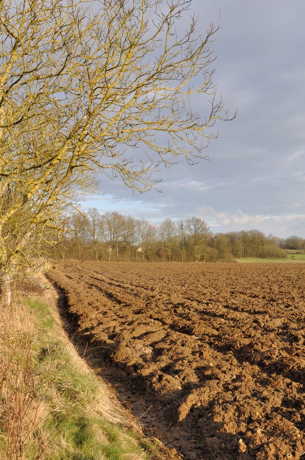 Plowed land stock image. Image of plowing, agricultural - 29496893