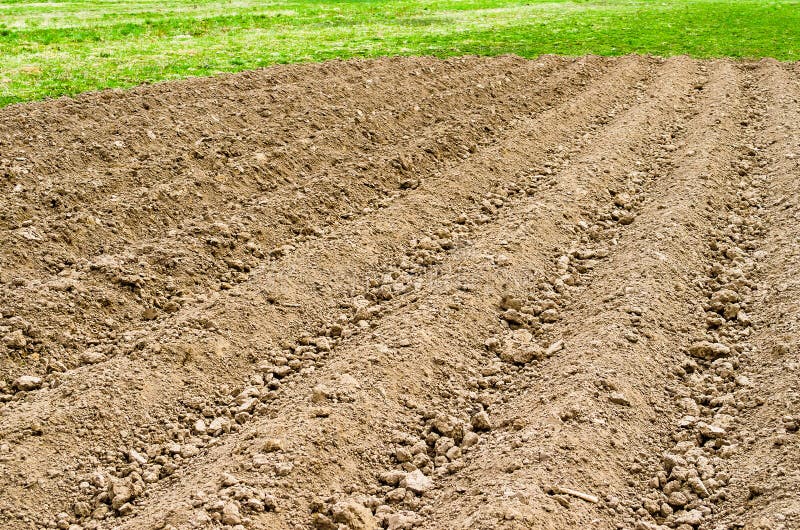 Plowed Land Field in a Rural Country Setting, Spring Grass and Fresh ...