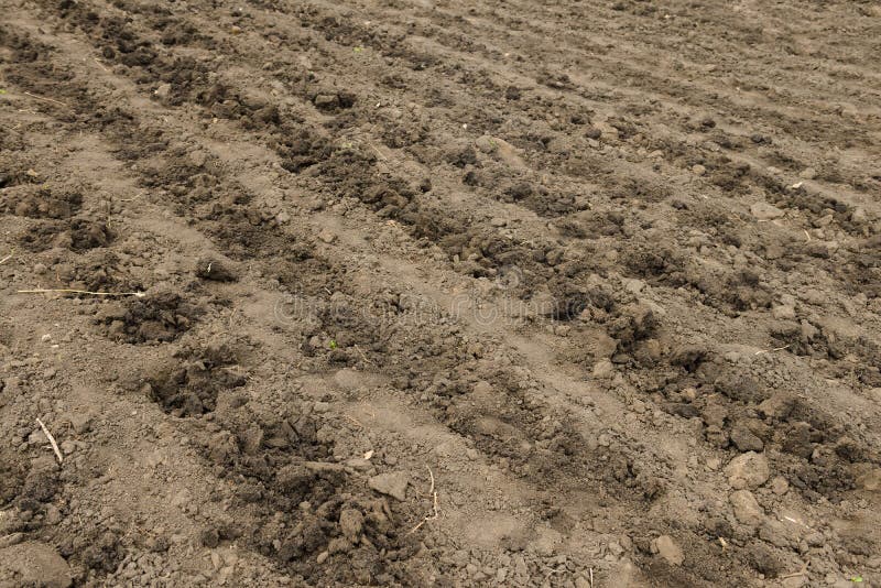 Texture of the plowed land stock image. Image of dirty - 144266003