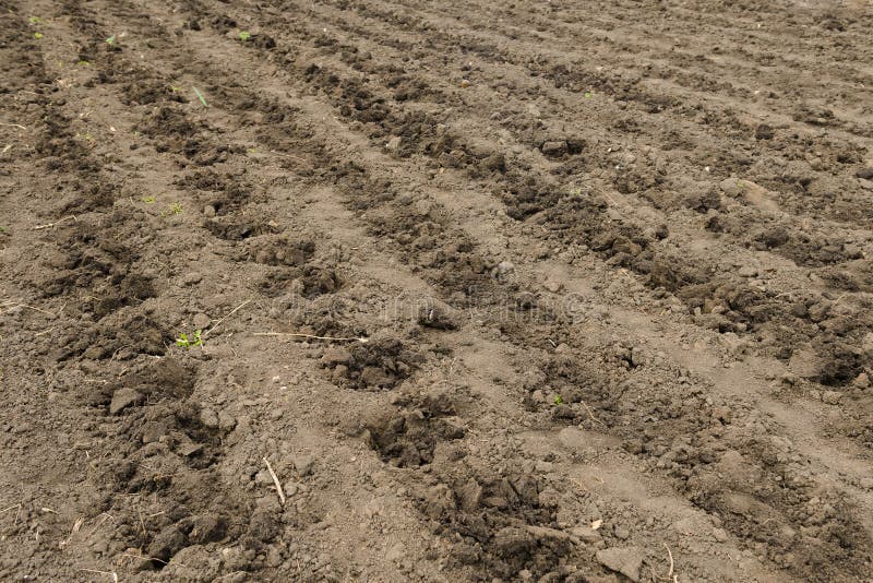 Plowed Land Prepared for Planting on a Spring Stock Photo - Image of ...