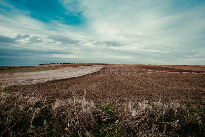 Plowed land. stock photo. Image of beginning, hide, friend - 131446944