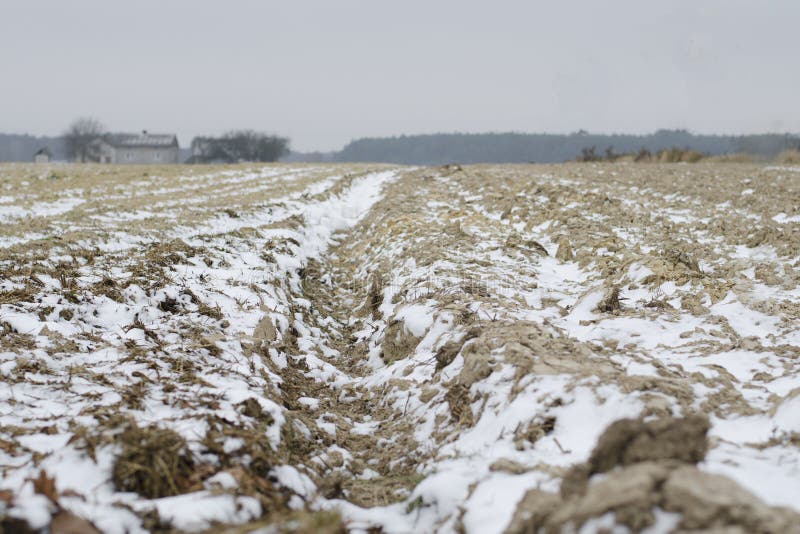 Plowed Land in Winter with Deep Furrows Sprinkled with Snow Stock Photo ...