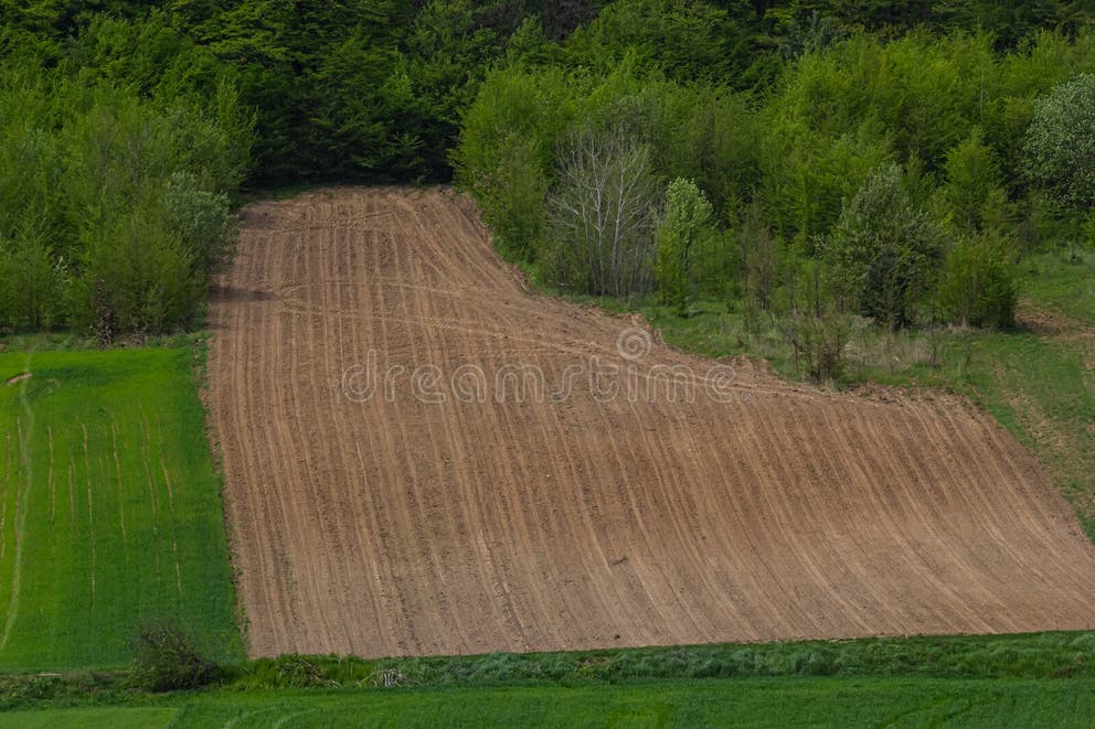 Plowed, Planted and Hilling Rows Black-earth Field. Ground Texture ...