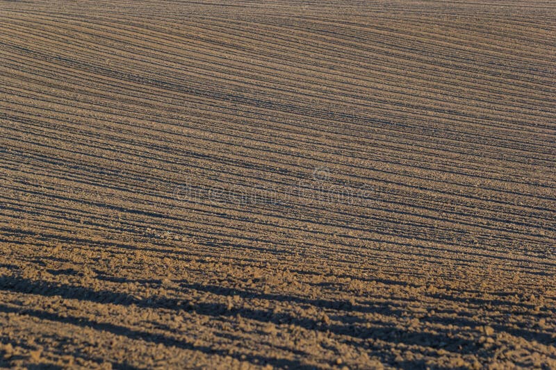 Plowed, Planted and Hilling Rows Black-earth Field. Ground Texture ...
