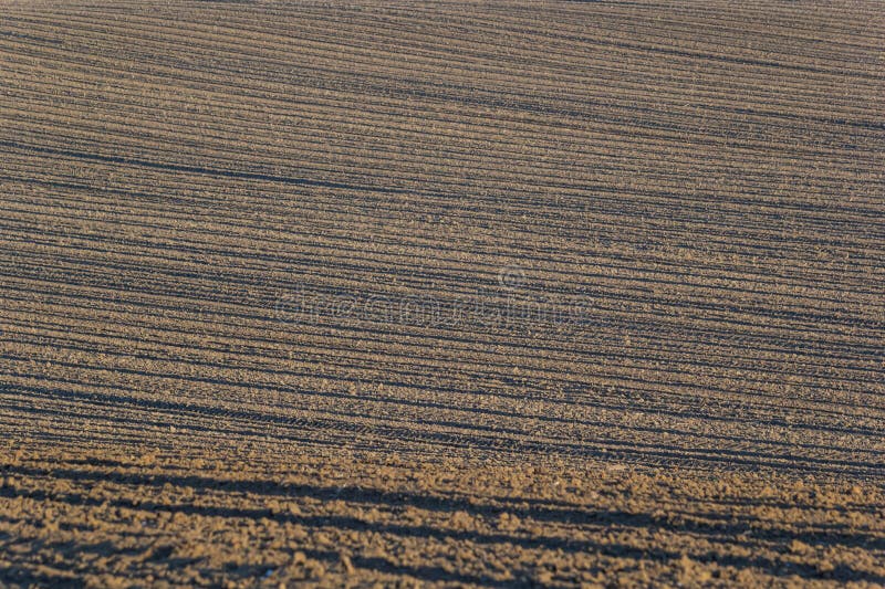 Plowed, Planted and Hilling Rows Black-earth Field. Ground Texture ...