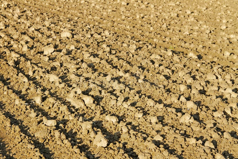 Natural plowed field stock photo. Image of land, field - 188749414