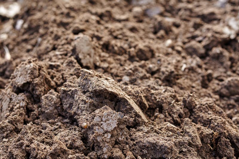 Plough Soil, Agriculture, Landscape Stock Photo - Image of fertile ...