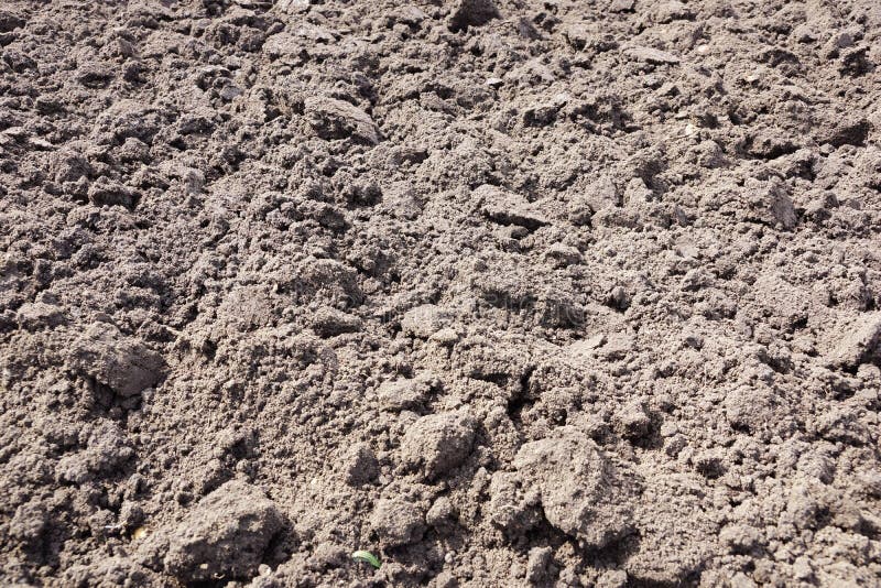 514 Tilled Texture Stock Photos - Free & Royalty-Free Stock Photos from ...