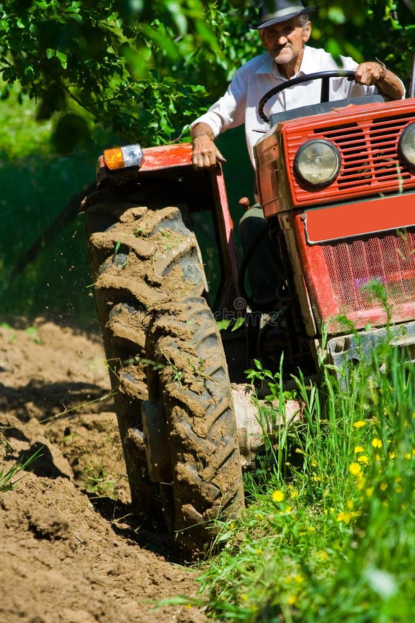Plowing stock photo. Image of growth, orange, planting - 5526682