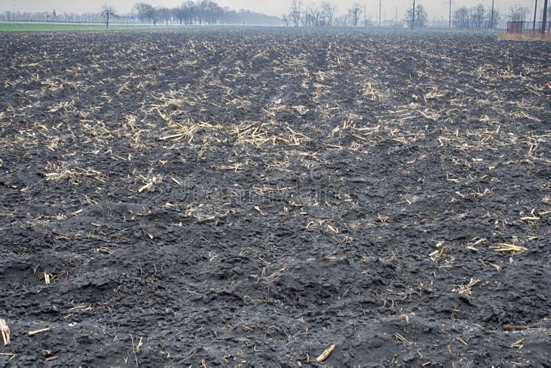 Fallow Crop Rotation Stock Photos - Free & Royalty-Free Stock Photos ...