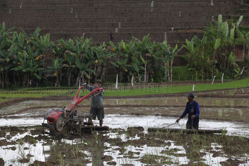 Plowing field editorial photography. Image of farmer - 39593567