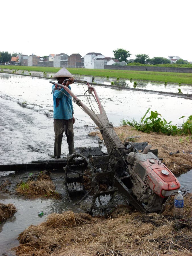 Plowing field editorial stock photo. Image of soil, village - 64817693