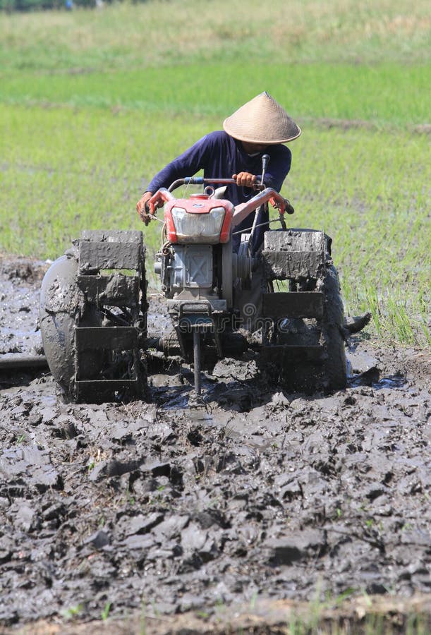 Plowing field editorial photography. Image of indonesia - 51924577