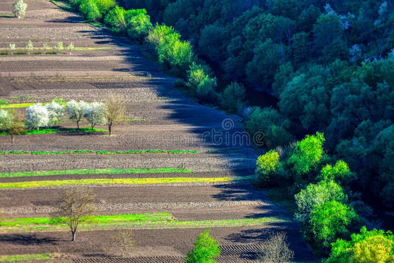 Plowing Field Near the Forest Stock Image - Image of green, agriculture ...