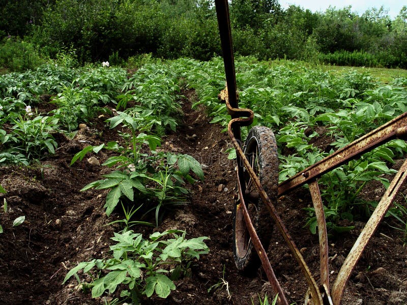 Plowing the Garden stock image. Image of concepts, modern - 18985