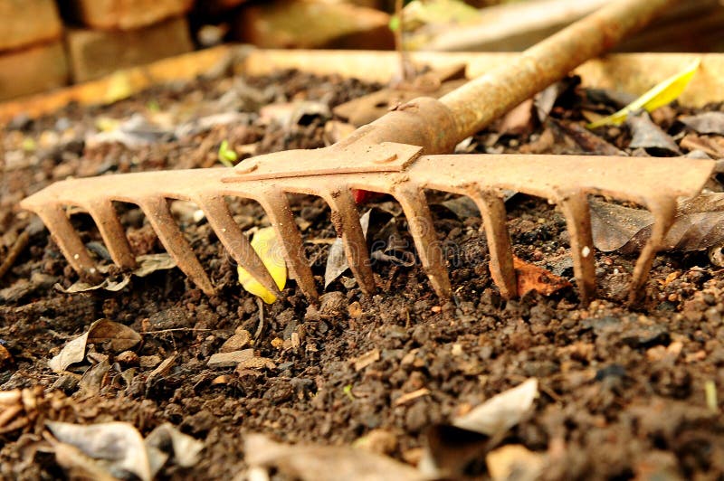 Plowing Land Cultivation, Planting, Nature Stock Photo - Image of ...