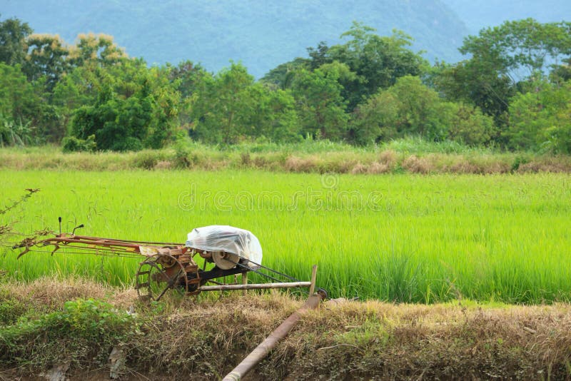 Plowing Machine on Green Rice Field Surrounded by Natural Tree and ...
