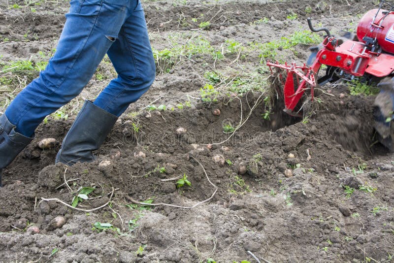 553 Plowman Stock Photos - Free & Royalty-Free Stock Photos from Dreamstime