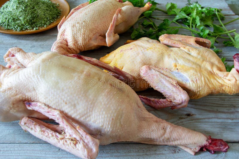 Plucked Goose Stock Photos - Free & Royalty-Free Stock Photos from ...